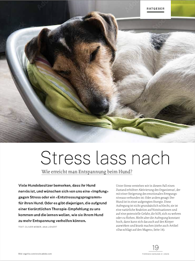 Fachartikel: Stress lass nach! Wie erreicht man Entspannung beim Hund ...